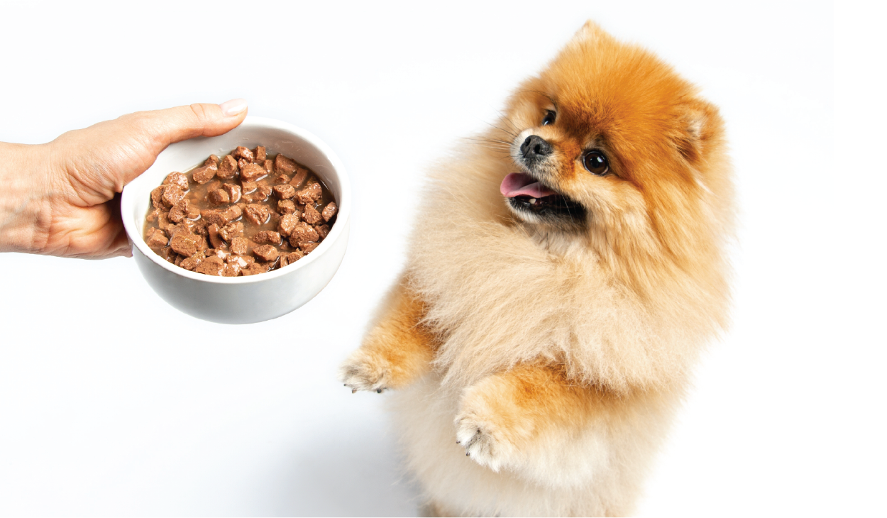 Wet Dog Foods – Vital Pet Group